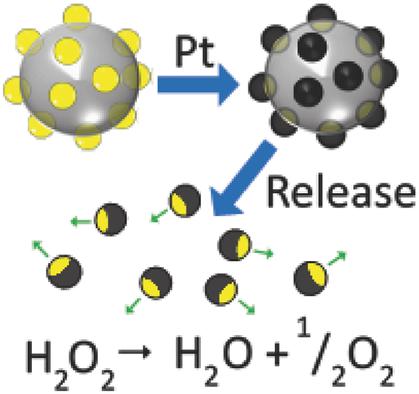 A Pickering Emulsion Route to Swimming Active Janus Colloids,Advanced ...