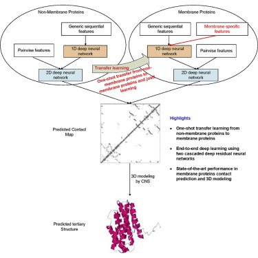 Folding Membrane Proteins by Deep Transfer Learning,Cell Systems - X-MOL