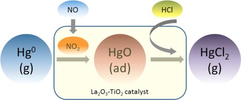 Synergistic effect of HCl and NO in elemental mercury catalytic ...