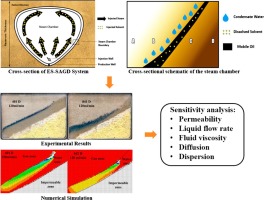 Experimental and numerical study of the convective mass transfer of ...