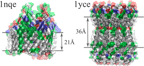 HDGB隐膜模型测定膜蛋白的疏水长度,Journal of Chemical Information and Modeling - X-MOL