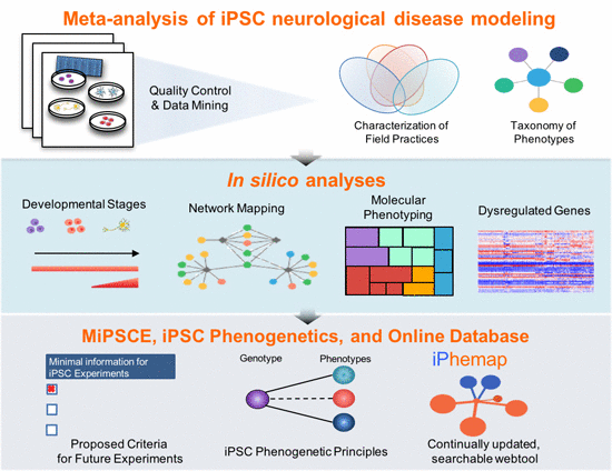 iPhemap: an atlas of phenotype to genotype relationships of human iPSC ...
