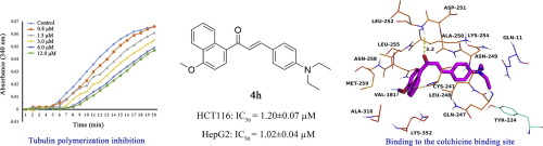 Synthesis, biological evaluation and molecular docking studies of a new series of chalcones ...