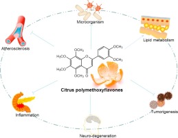 Chemical structures, bioactivities and molecular mechanisms of citrus ...