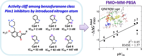 Theoretical Analysis of Activity Cliffs among Benzofuranone-Class Pim1 ...