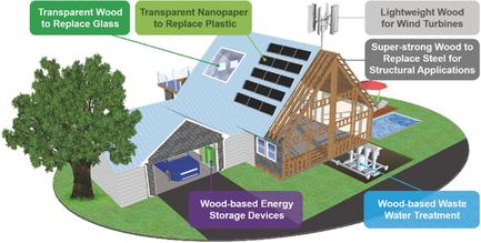 Wood‐Based Nanotechnologies toward Sustainability,Advanced Materials ...