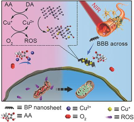 Black Phosphorus Nanosheets as a Neuroprotective Nanomedicine for ...