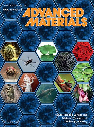 Nature‐Inspired Surface and Materials Research: (Adv. Mater. 45/2017 ...