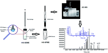 Combined headspace single-drop microextraction and solid-phase microextraction for the ...
