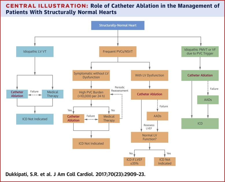 结构正常心脏室性心动过速的导管消融,Journal of the American College of Cardiology - X-MOL