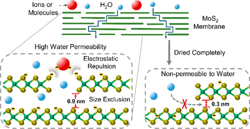Understanding the Aqueous Stability and Filtration Capability of MoS2 ...
