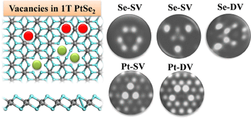 Structure, Stability, and Kinetics of Vacancy Defects in Monolayer ...