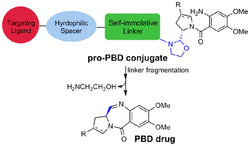 Latent Warheads for Targeted Cancer Therapy: Design and Synthesis of ...