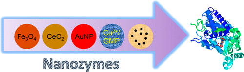 Filling in the Gaps between Nanozymes and Enzymes: Challenges and ...