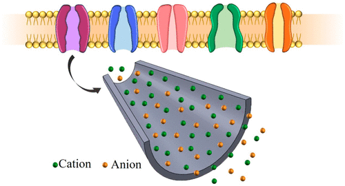 Salt-Dependent Ion Current Rectification in Conical Nanopores: Impact ...