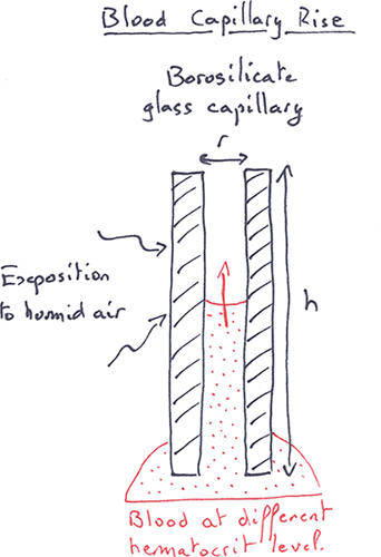 Principles around Accurate Blood Volume Collection Using Capillary ...