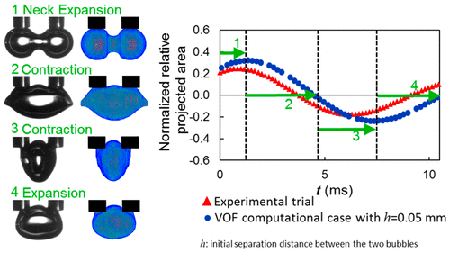 Analysis of Bubble Coalescence Dynamics and Postrupture Oscillation of ...