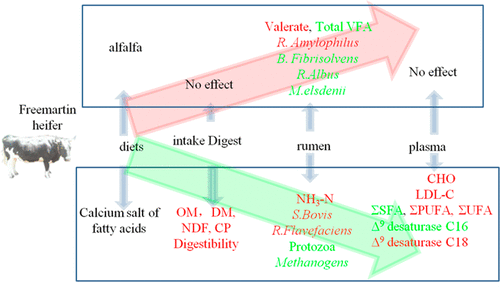 Dietary Alfalfa and Calcium Salts of Long-Chain Fatty Acids Alter Protein Utilization, Microbial ...