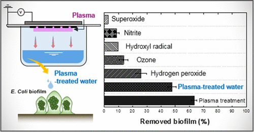 Plasma-Functionalized Solution: A Potent Antimicrobial Agent for ...