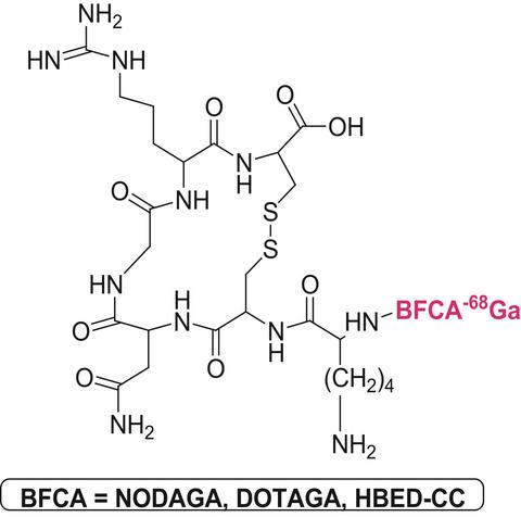 Comparative evaluation of 68Ga‐labeled NODAGA, DOTAGA, and HBED‐CC ...