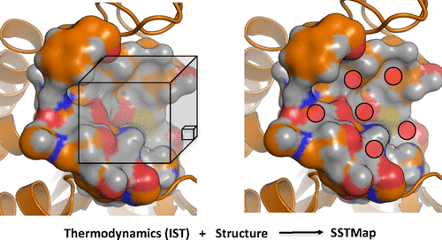 Solvation Structure and Thermodynamic Mapping (SSTMap): An Open-Source ...