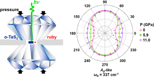 TaS 3 各向异性中振动模态的异常压力响应 ,The Journal of Physical Chemistry C - X-MOL