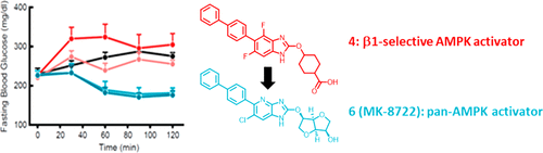 Discovery of MK-8722: A Systemic, Direct Pan-Activator of AMP-Activated ...