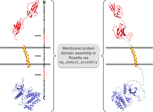 A Novel Domain Assembly Routine for Creating Full-Length Models of ...