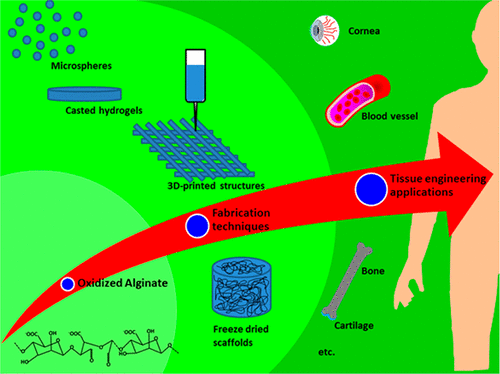 Oxidized Alginate-Based Hydrogels for Tissue Engineering Applications ...