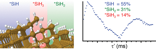 Characterization of Silicon Nanocrystal Surfaces by Multidimensional ...