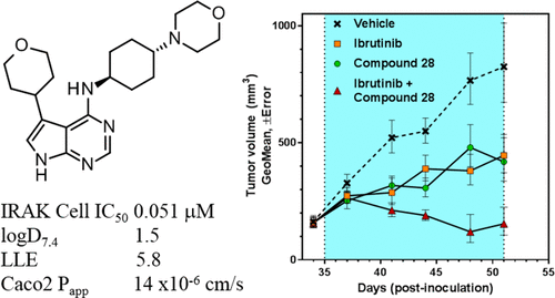 Discovery and Optimization of Pyrrolopyrimidine Inhibitors of ...