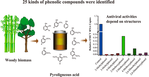 Antiviral Activity of Phenolic Derivatives in Pyroligneous Acid from Hardwood, Softwood, and ...