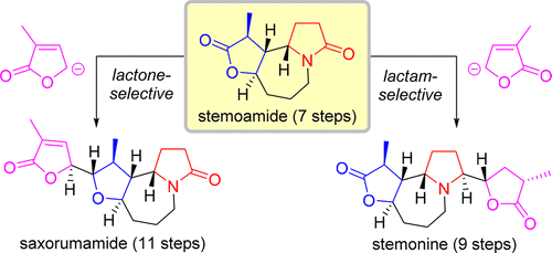 Unified Total Synthesis of Stemoamide-Type Alkaloids by Chemoselective ...