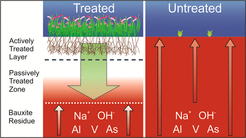 Sustained Bauxite Residue Rehabilitation with Gypsum and Organic Matter ...