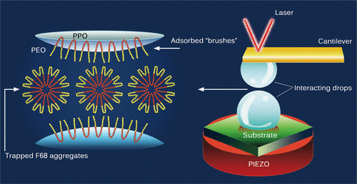 Effects of Salt-Controlled Self-Assembly of Triblock Copolymers F68 on ...