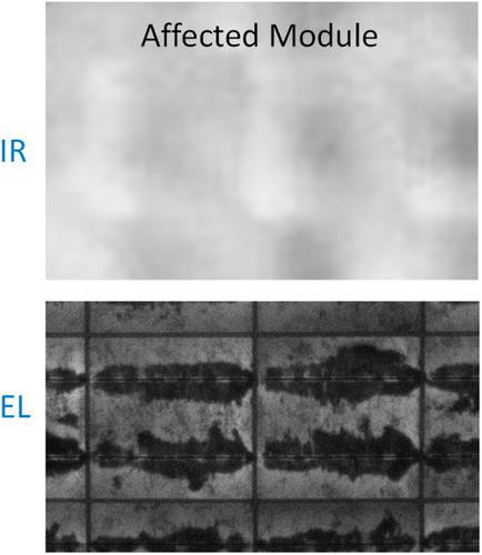 Evaluation and modeling of the potential effects of a module ...