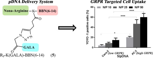 Bombesin/oligoarginine fusion peptides for gastrin releasing peptide ...