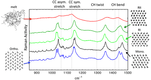 Predicting Raman Spectra of Condensed Polymer Phases from MD ...