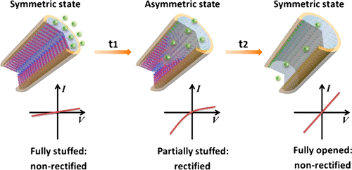 On the Origin of Ionic Rectification in DNA-Stuffed Nanopores: the ...