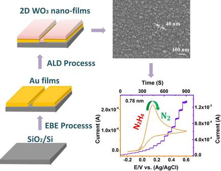 ALD开发的二维WO3超灵敏，可持续且选择性的电化学检测肼,ChemElectroChem - X-MOL