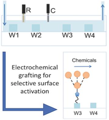 A Combined Electrochemical‐Microfluidic Strategy for the Microscale ...