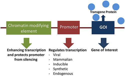 Engineered and Natural Promoters and Chromatin-Modifying Elements for ...