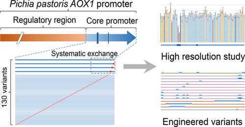 Pichia pastoris Alcohol Oxidase 1 (AOX1) Core Promoter Engineering by ...