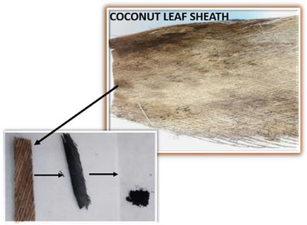 A Coconut Leaf Sheath Derived Graphitized N‐Doped Carbon Network for ...