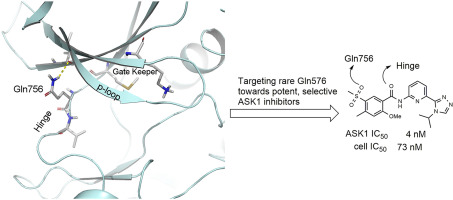 Rational approach to highly potent and selective apoptosis signal ...
