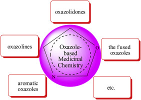 Recent advance in oxazole-based medicinal chemistry,European Journal of ...