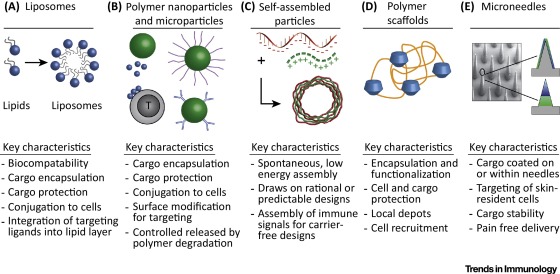 Improving Vaccine and Immunotherapy Design Using Biomaterials,Trends in ...