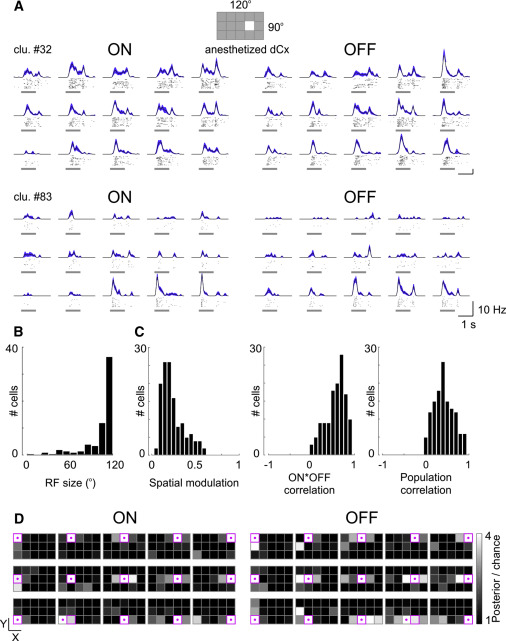 Spatial Information in a Non-retinotopic Visual Cortex.,Neuron - X-MOL