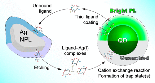Thiol-Ligand-Catalyzed Quenching and Etching in Mixtures of Colloidal ...