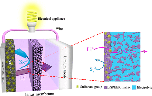 Suppressing Shuttle Effect Using Janus Cation Exchange Membrane for ...